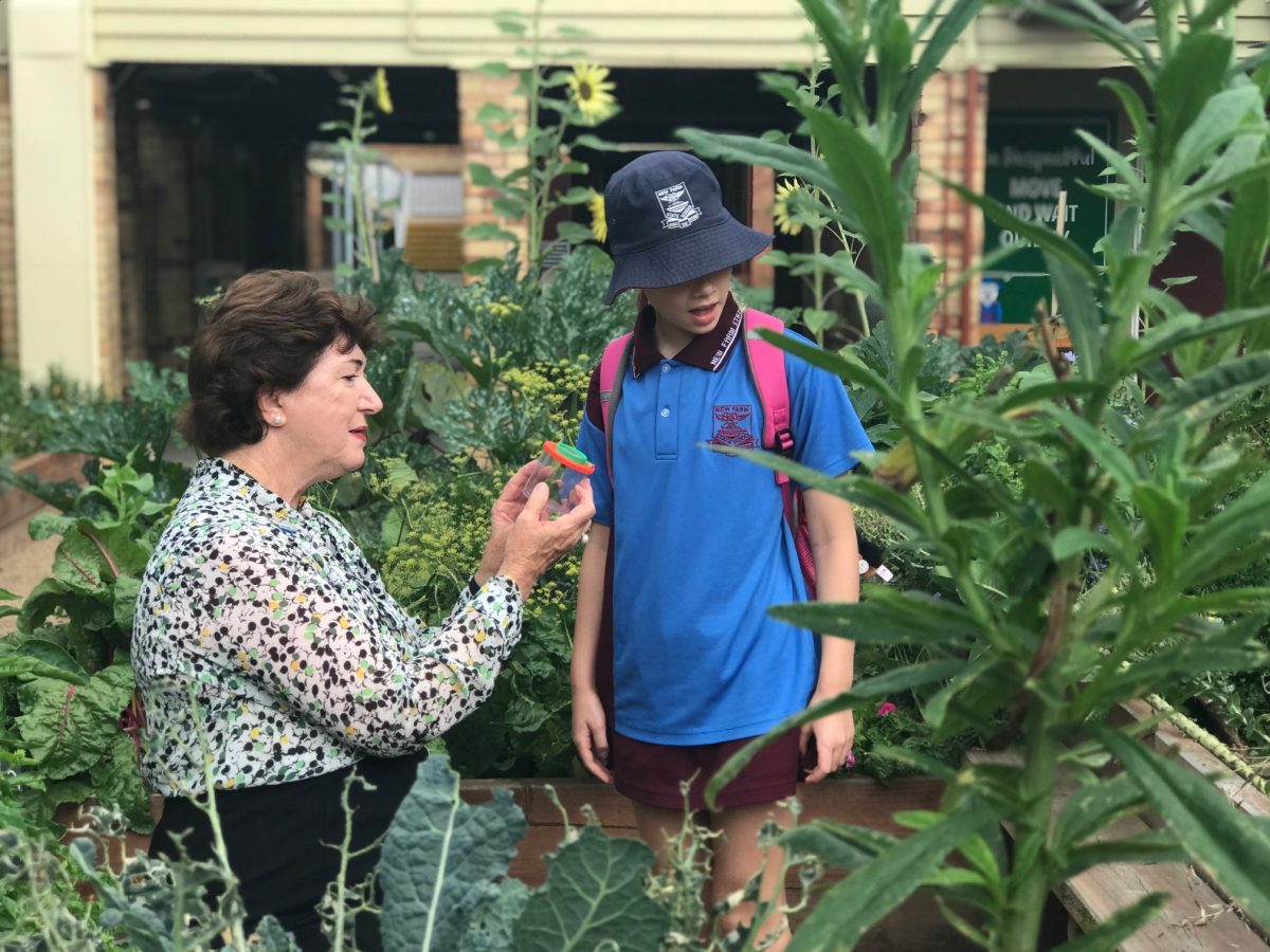 Grace 4 - Vicki Howard