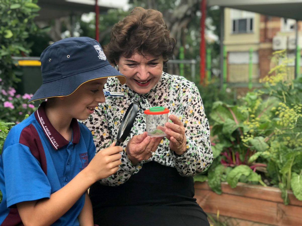 Samuel - Vicki Howard